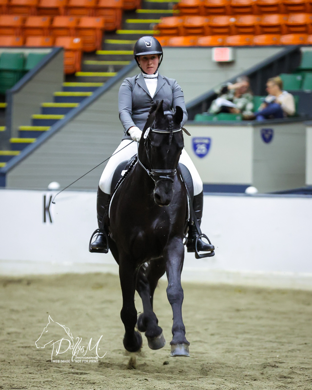 '22 Friesian Keuring - Horse Show Proofs - 2022 Horse Show Proofs ...