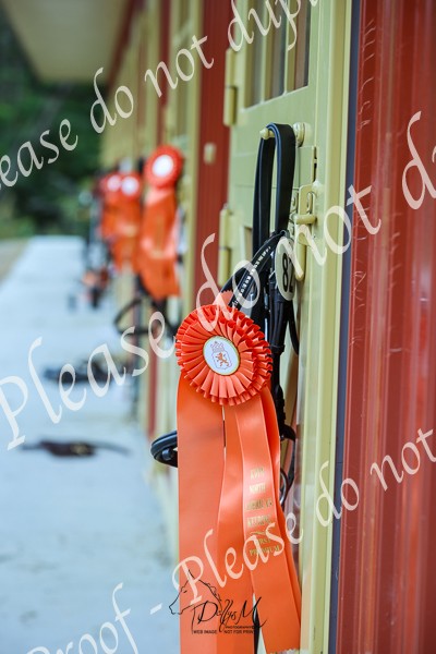 24 Dutch Keuring @ Shooting Star Farm - Horse Show Proofs - 2024 Horse ...